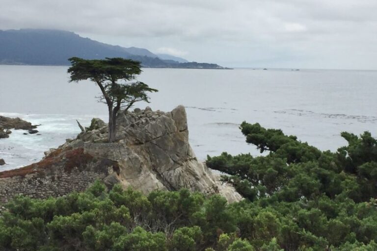 From San Francisco: Carmel, Monterey & Big Sur Private Tour - Exploring Carmel and Monterey