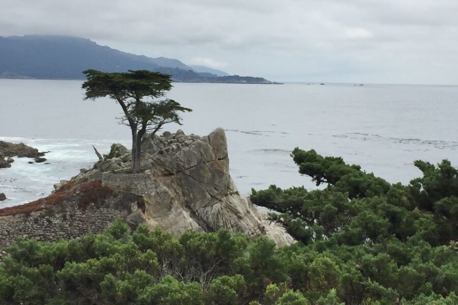 From San Francisco: Carmel, Monterey & Big Sur Private Tour - Exploring Carmel and Monterey
