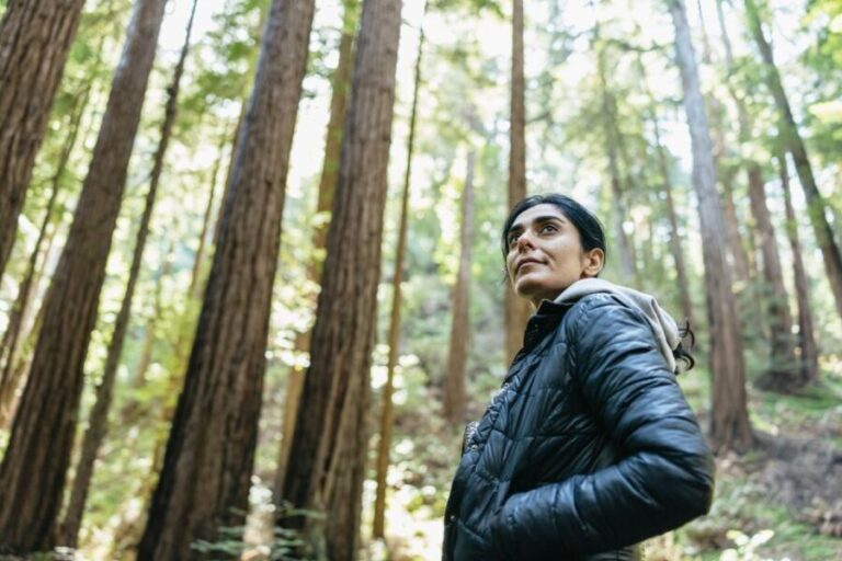 From San Francisco: Guided Muir Woods Tour - The Itinerary: What to Expect on This Guided Tour