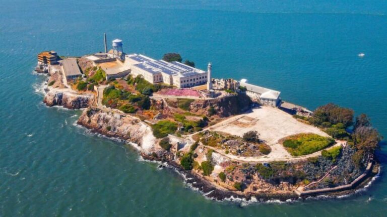 From San Francisco: Muir Woods, Sausalito and Alcatraz Tour - Exploring Muir Woods: The Redwoods’ Majesty