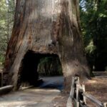 From San Francisco: Yosemite Private Full-Day Trip - Who Will Love This Tour?