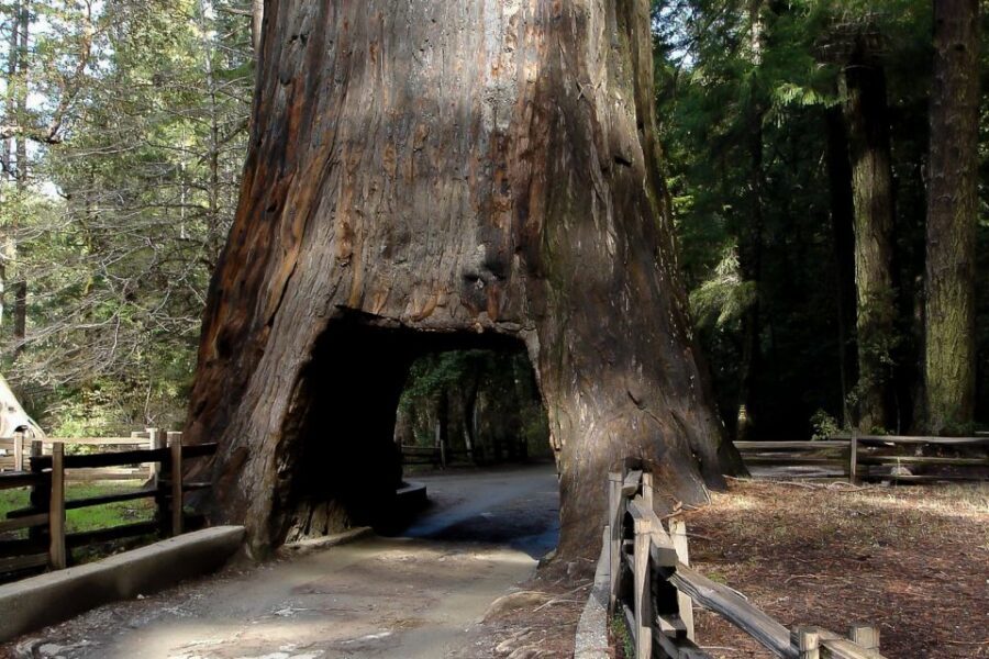 From San Francisco: Yosemite Private Full-Day Trip - Who Will Love This Tour?