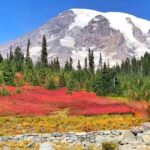 From Seattle: Mount Rainier Guided Day Tour - Authentic Traveler Insights
