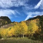 From Seattle: Mount Rainier National Park 1-Day Tour - The Itinerary Breakdown