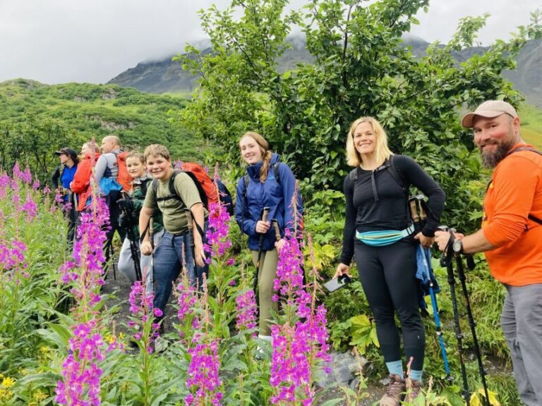 From Seward: 6-hour Wilderness Hiking Tour - What’s Included and How It Enhances Your Experience