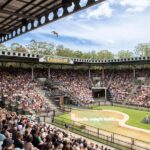 From Sunshine Coast: Australia Zoo Entry Ticket and Transfer - Arriving at Australia Zoo – What to Expect