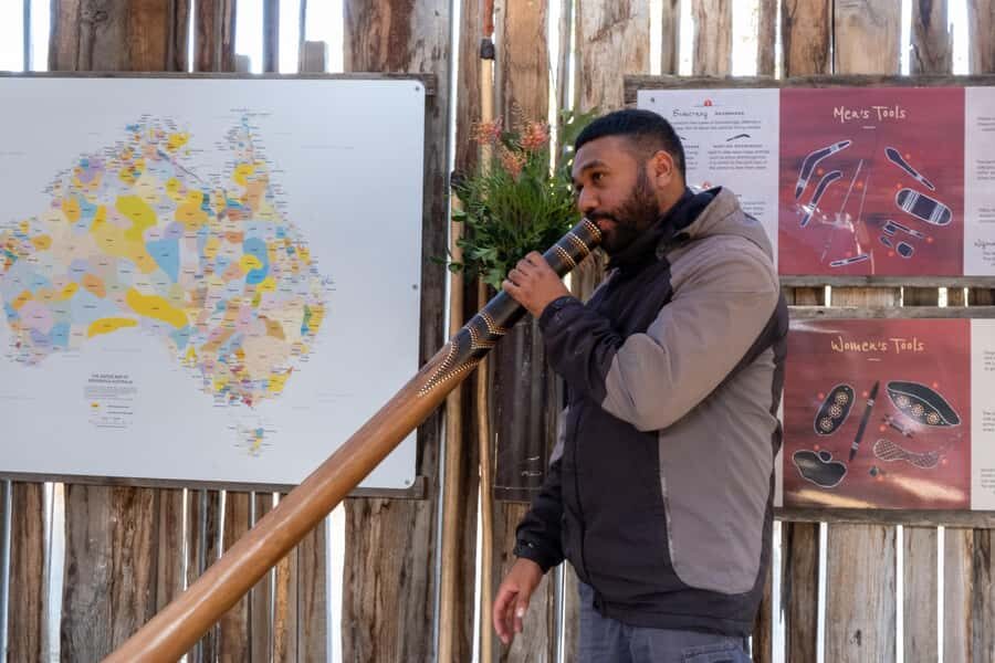 From Sydney: Blue Mountains, Scenic Railway, & Sydney Zoo - Practical Considerations