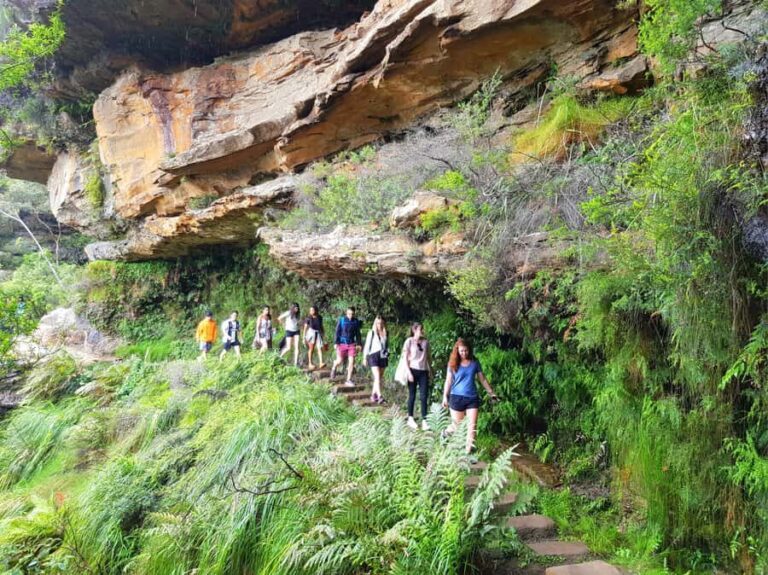 From Sydney: Blue Mountains Tour with Waterfall Walk & Lunch - Who Is This Tour Perfect For?
