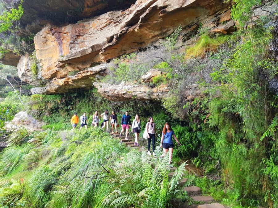 From Sydney: Blue Mountains Tour with Waterfall Walk & Lunch - Who Is This Tour Perfect For?