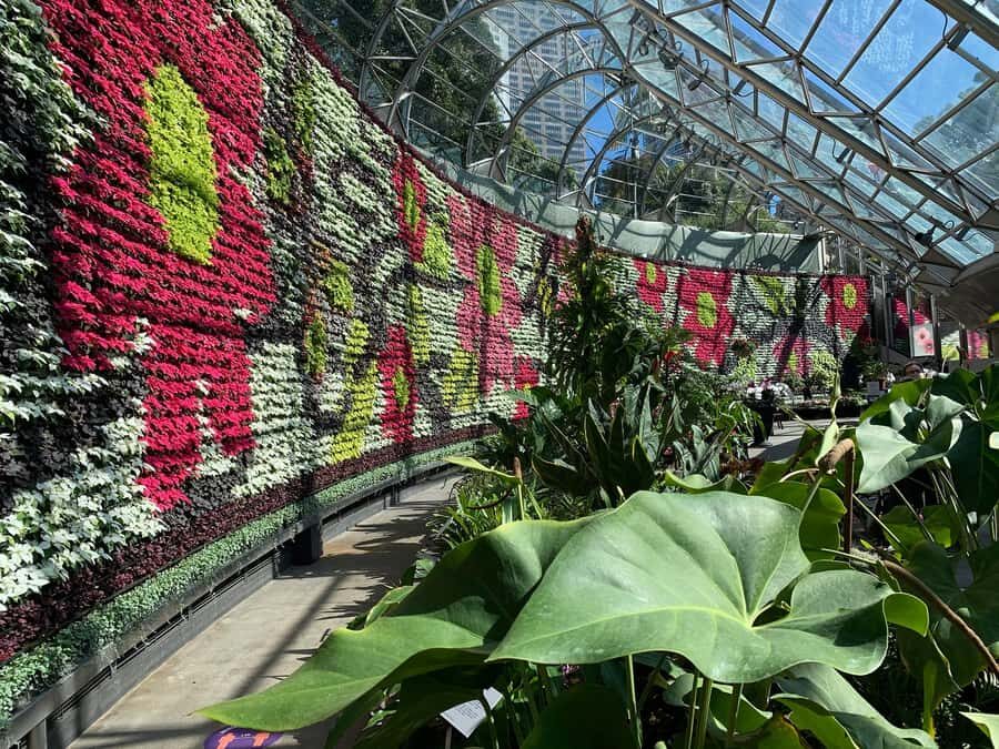 From Sydney: Full Day Tour of Golden Beaches and Ocean Vista - Practical Details and What to Expect