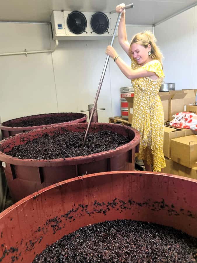 From Sydney: Hunter Valley Wine, Gin & Food Tastings Tour - An In-Depth Look at the Tour Experience