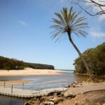 From Sydney: Royal National Park Private Tour - What to Expect & Practical Tips