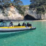 From Tairua: 2 Hour Cathedral Cove Tour with Local Guide - What You Can Expect and Why it Matters