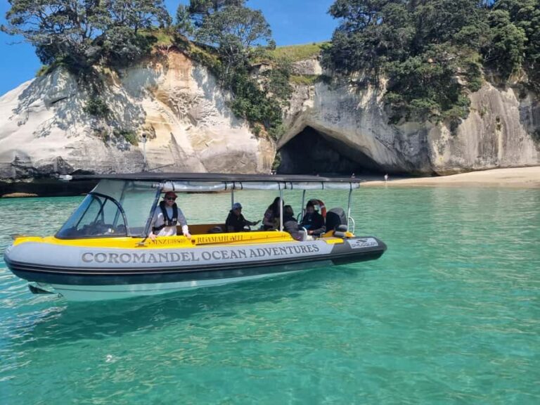 From Tairua: 2 Hour Cathedral Cove Tour with Local Guide - What You Can Expect and Why it Matters