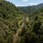 From Taumarunui: The Republic Rail Cart Adventure - Exploring the Route: A Closer Look at the Itinerary