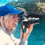 From Tauranga: Dolphin and Wildlife Cruise - The Experience From the Guest Reviews