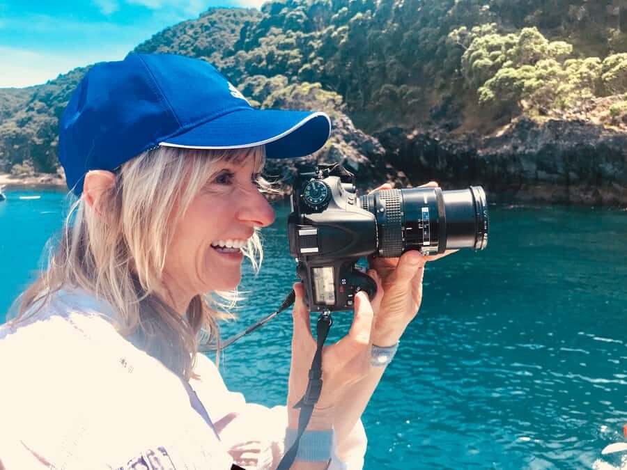 From Tauranga: Dolphin and Wildlife Cruise - The Experience From the Guest Reviews