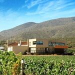 From the Border Valle de Guadalupe Private Wine Tour - Who Will Love This Tour?