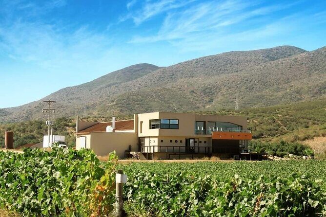 From the Border Valle de Guadalupe Private Wine Tour - Who Will Love This Tour?