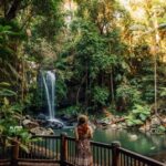 From the Gold Coast Hop on Hop off Bus to Tamborine Mountain - Itinerary Breakdown & What to Expect
