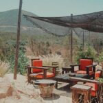 From Tijuana to Valle de Guadalupe private tour 6 passengers - Visiting the Best Wineries with a Personal Touch