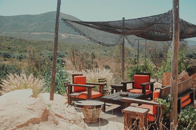 From Tijuana to Valle de Guadalupe private tour 6 passengers - Visiting the Best Wineries with a Personal Touch