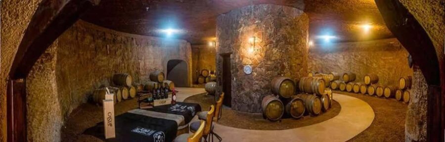 From Tijuana: Valle de Guadalupe Shared Winery Tour - An In-Depth Look at the Tour Experience