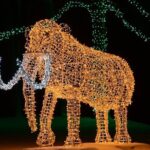 From Toronto:Winter Festival of Lights Niagara Falls Evening Tour - The Value of This Tour