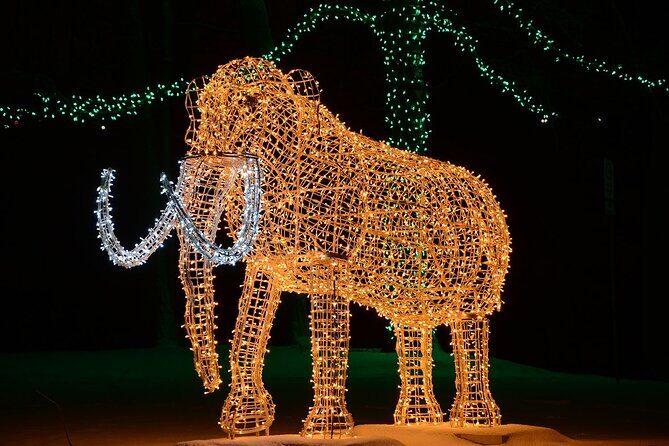 From Toronto:Winter Festival of Lights Niagara Falls Evening Tour - The Value of This Tour