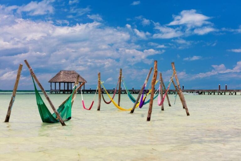 From Tulum: Holbox Island Full-Day Trip with Lunch - In-Depth Breakdown of the Itinerary