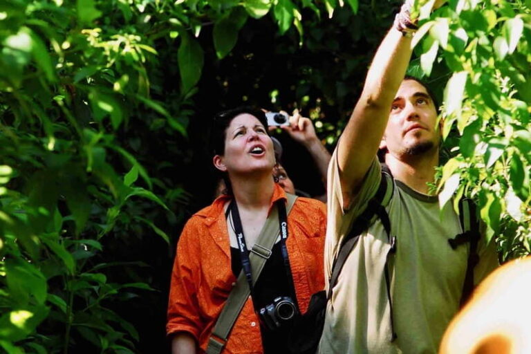 From Tulum: Sian KaAn Muyil Lagoon Tour - What’s Included and What to Prepare