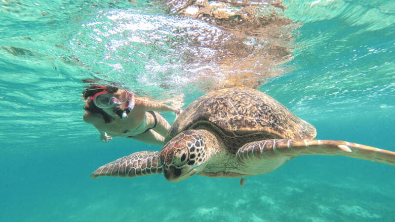 From Tulum: Tulum, Cenote and Turtle Swim Tour at Akumal - What Really Sets This Tour Apart