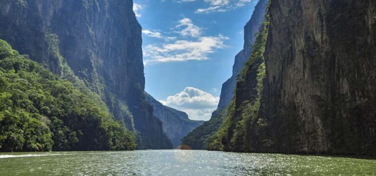 From Tuxtla:4 dias, Chiapas,Naturaleza,Cultura yMagia Guiado - Transportation and Logistics: What It Means for You