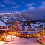 From Vancouver: Whistler and Shannon Falls Private Day Trip - What Reviewers Say