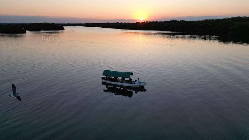 From Veracruz: Nature & Seafood Boat Tour to Madinga - What to Expect from the Tour