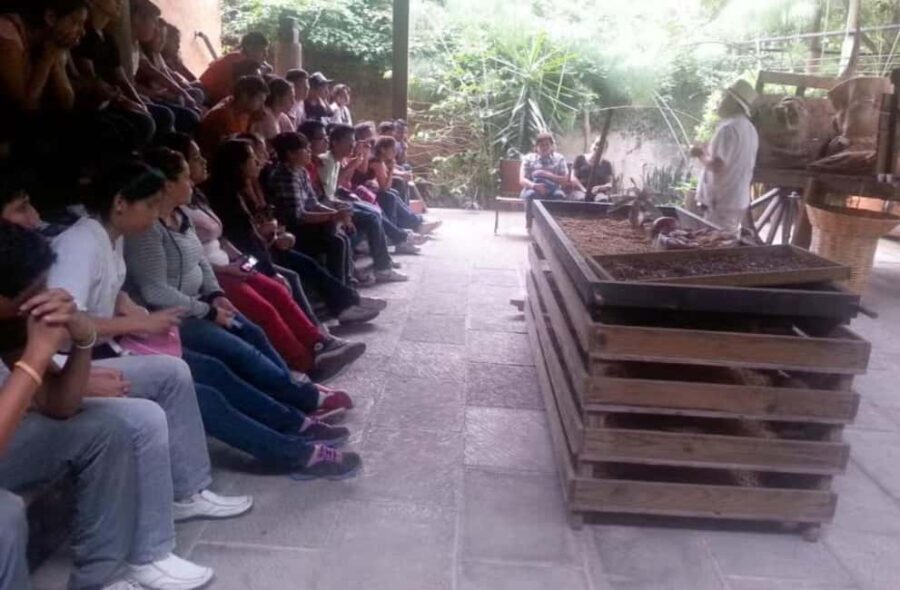 From Veracruz: Xalapa & Coatepec Day Trip - What Makes This Tour a Great Choice?