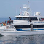 From Victoria: Whale Watching Trip on Covered Boat - Practical Tips for Your Trip