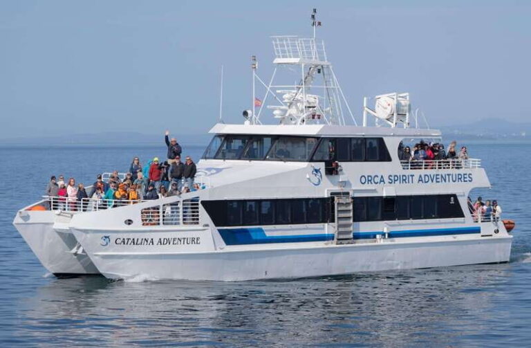From Victoria: Whale Watching Trip on Covered Boat - Practical Tips for Your Trip