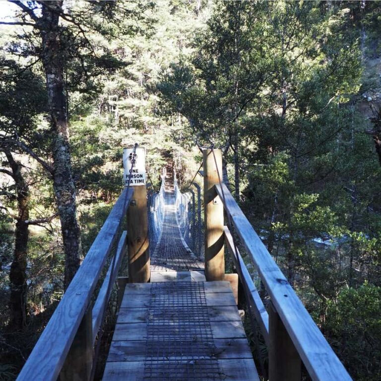 From Waikato: Kaimanawa Descent Heli-Hiking Adventure - Practical Details and Considerations