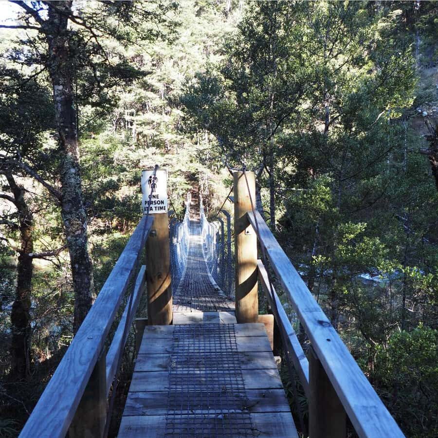 From Waikato: Kaimanawa Descent Heli-Hiking Adventure - Practical Details and Considerations