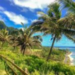 From Waikiki: Hawaii Grand Circle Island Tour - Who This Tour Is Best For