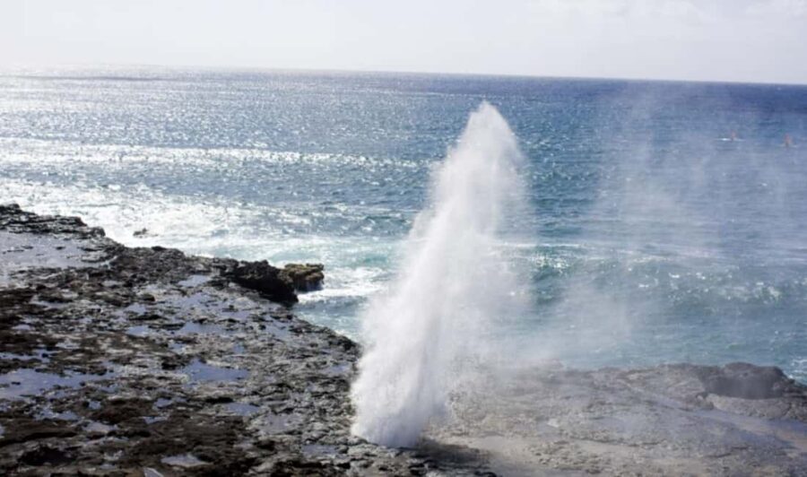 From Waikiki: Oahu Scenic Half-Day Circle Island Tour - Value for Money and Overall Experience