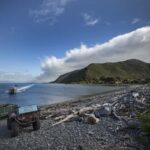 From Wellington: Kapiti Island Classic Guided Day Tour - How the Tour Unfolds: A Detailed Breakdown