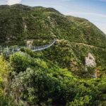 From Wellington: Remutaka Rail Trail eBike Tour - Detailed Breakdown of the Itinerary