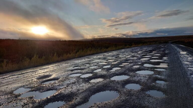 Full Day Arctic Circle Adventure From Fairbanks - Benefits of This Arctic Circle Tour