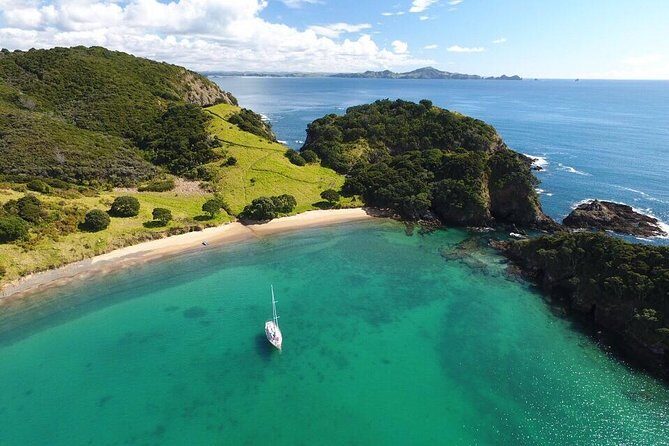 Full-Day Bay of Islands Tour by Vigilant Yacht Charters - Price and Value: What Are You Paying For?