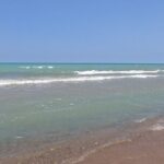 Full-Day Beach Day at Grand Bend - Why Youll Love the Tour