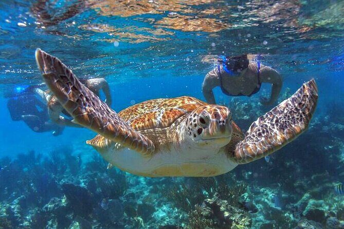 Full Day Boat Tour with Open Bar and Lunch in Riviera Maya - Final Thoughts on Value