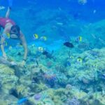 Full-Day Bora Bora Lagoon Cruise Including Snorkeling with Sharks and Stingrays - The Itinerary: What to Expect on Your Bora Bora Lagoon Day