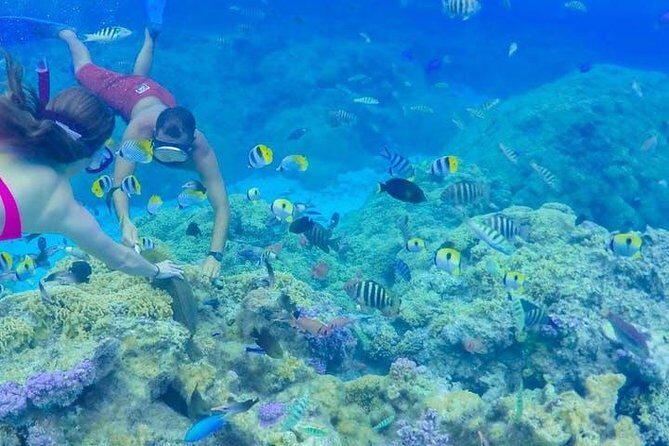 Full-Day Bora Bora Lagoon Cruise Including Snorkeling with Sharks and Stingrays - The Itinerary: What to Expect on Your Bora Bora Lagoon Day